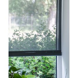 Ihanin Screen rullaverho XL tummanharmaa 220x250 cm